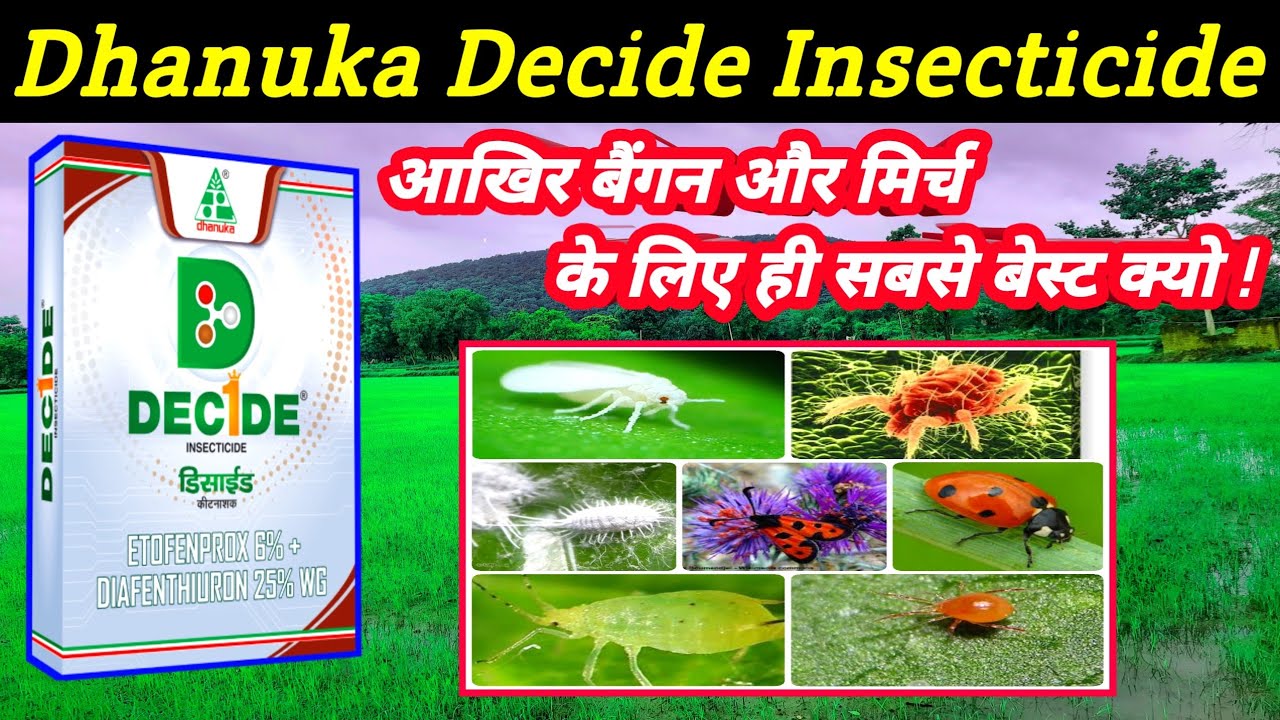 Dhanuka Decide insecticide| Etofenprox-6%+ Difenthiurom-25%WG |decide ...