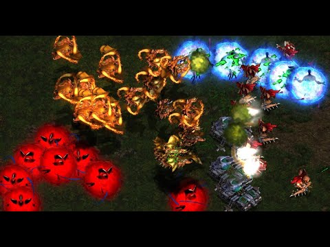 💗Valentine's Day💗 StarCraft Hangout! Shuttle! herO! Ample! Queen! FFA ...
