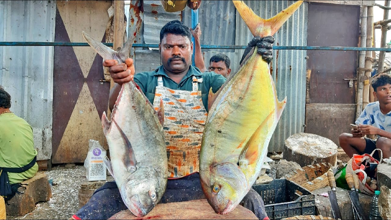 KASIMEDU SELVAM | YELLOW PAARAI MEEN | CUTTING VIDEO |CUTTING SKILLS # ...