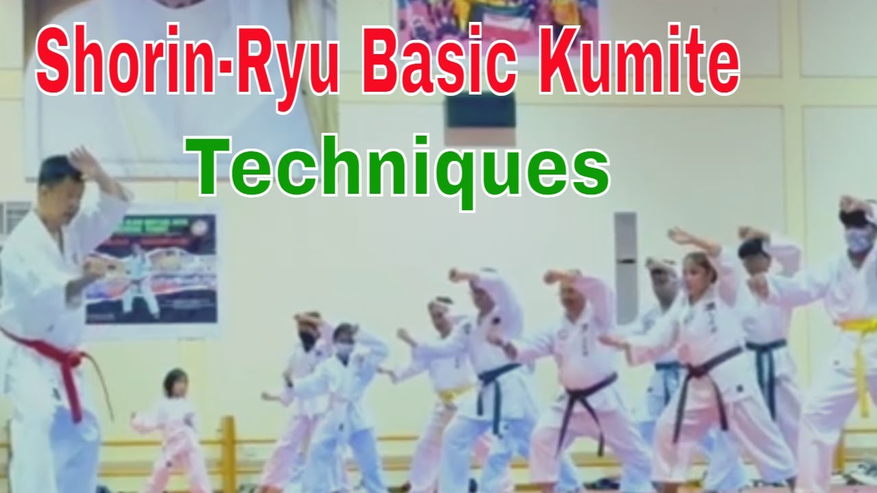 Shorin ryu Karate basic kumite seminar - Hanshi Jun Caballero - YouTube