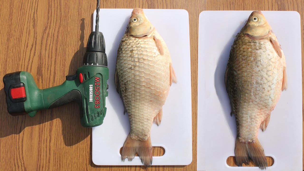 Kako očistiti ribu bušilicom - skidanje krljušti ribe na brži način ...