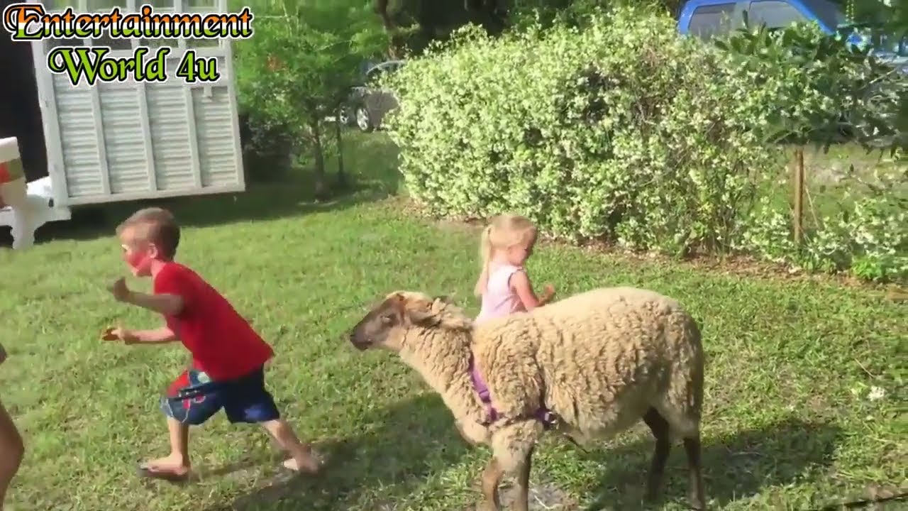 Top 5 scared and funny reactions of kids from animals 2017 part 1 - YouTube