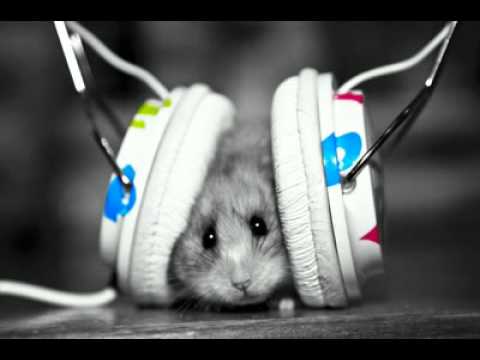 dj kantik ham's jan