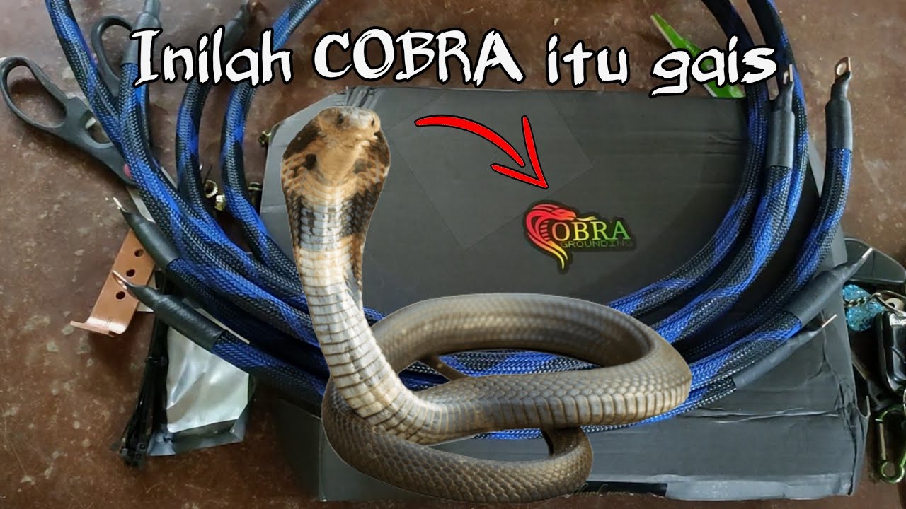 Cobra grounding cable dari shopee terus di unboxing - YouTube