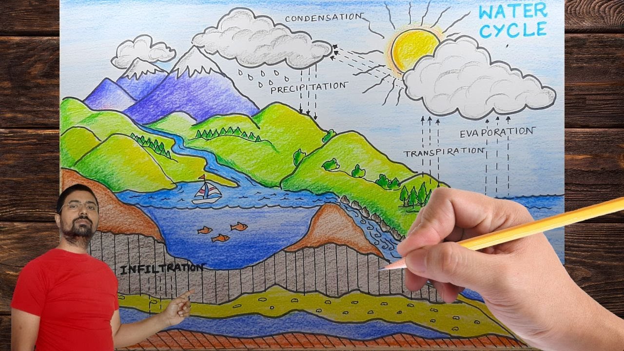 Water Cycle Drawing | World Water Day Drawing | World Water Day Poster ...