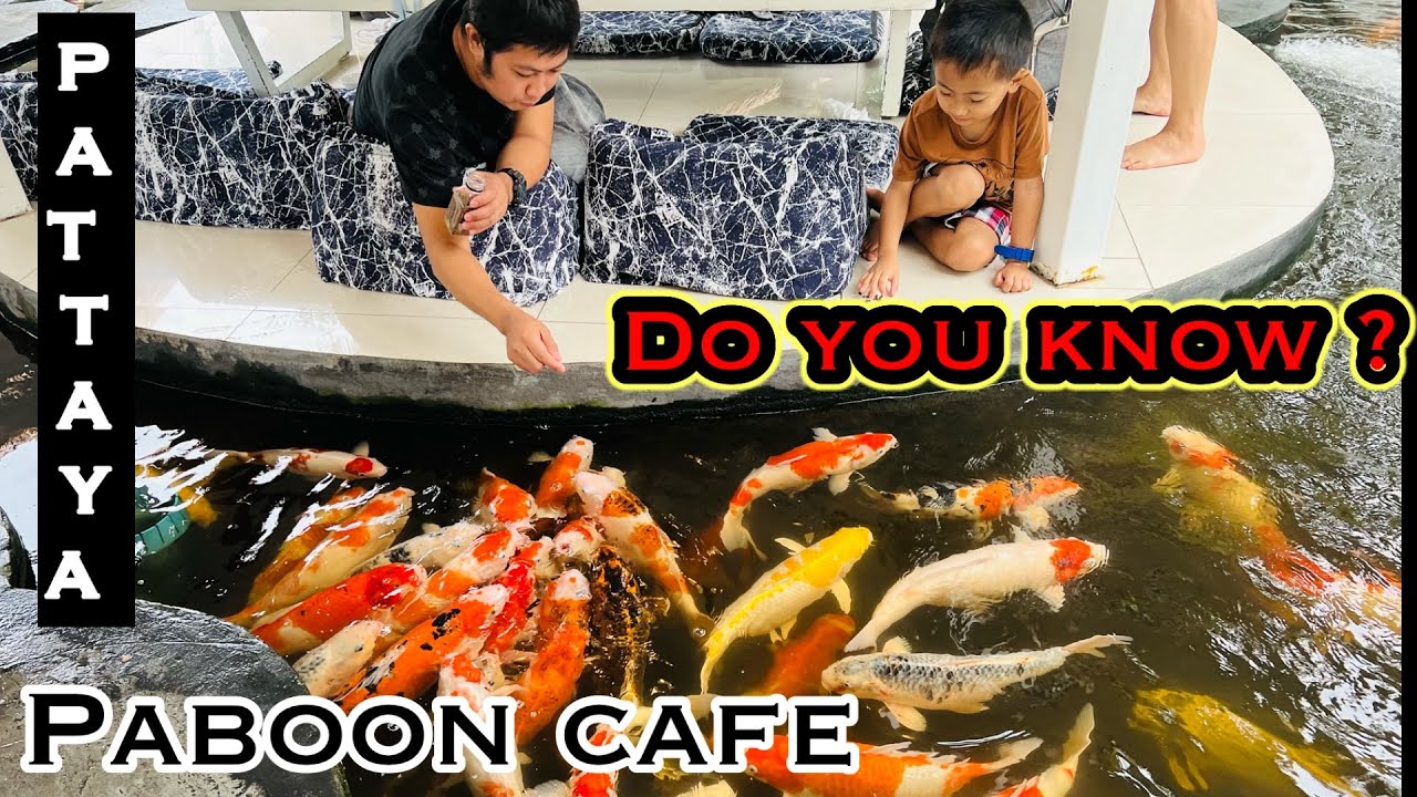 WHAT MAKES PABOON CAFE SO SPECIAL? LET’S FIND OUT! #pattaya #thailand ...