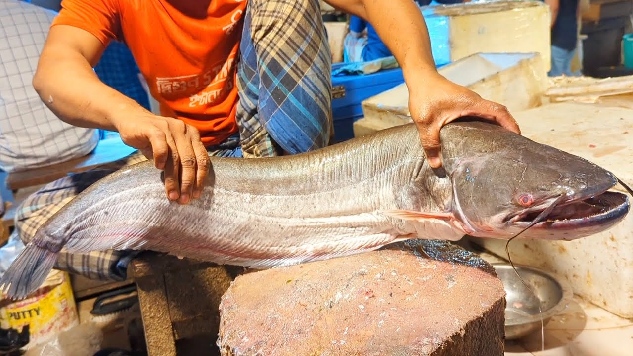 Amazing Giant Boal Fish Cutting Skills In Bangladesh Fish Market | Fish ...