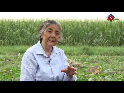 Zəhmətkeş verilişi-27.07.2020