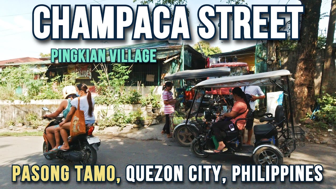 CHAMPACA STREET In Pingkian Village, Pasong Tamo, Quezon City, Metro ...