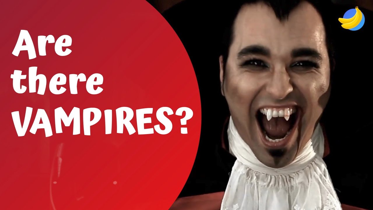 Are there vampires? 🧛 | Curious Questions - YouTube