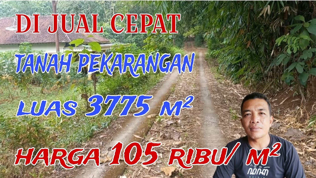 DI JUAL TANAH PEKARANGAN LUAS 3775M² HARGA 400 JUTA NEGO ...