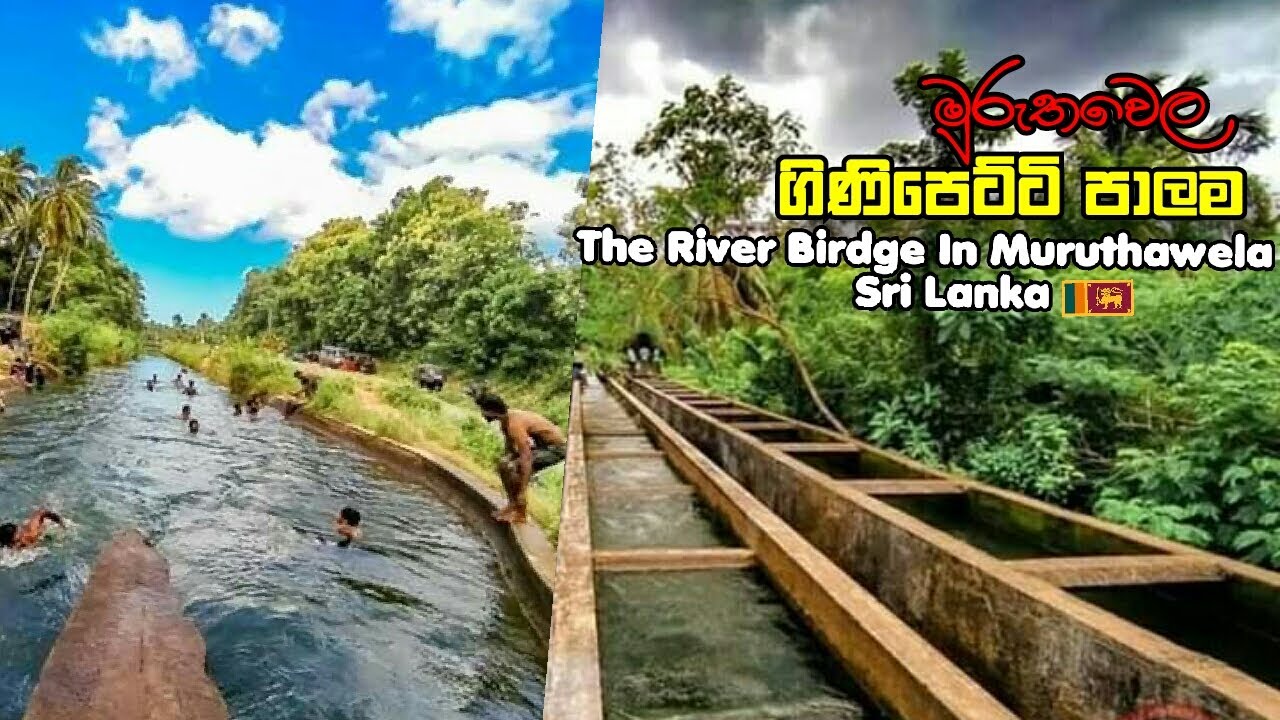 Ginipetti Palama Muruthawela | Sri Lanka - YouTube