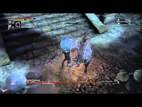 Bloodborne - Alien Slaughter - YouTube