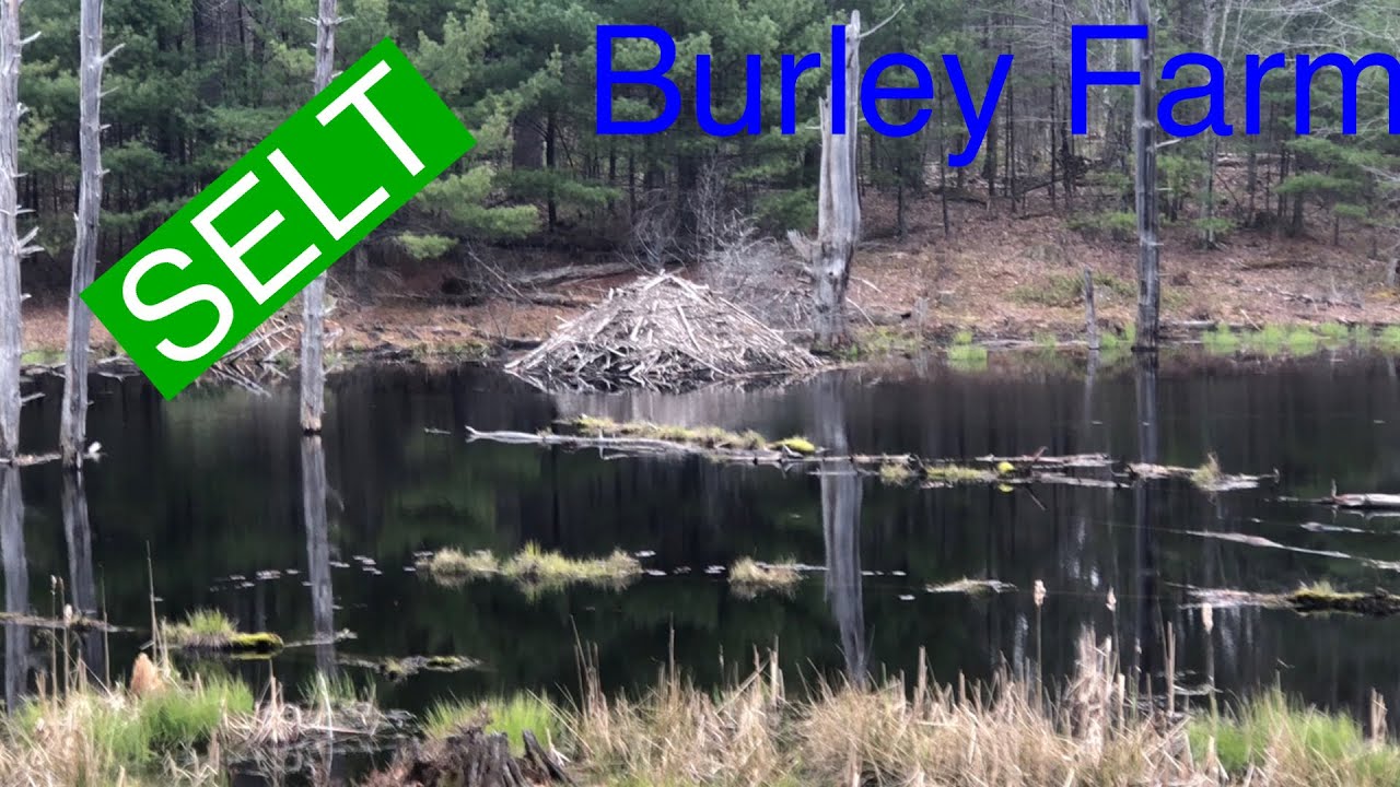 Burley Farm - YouTube