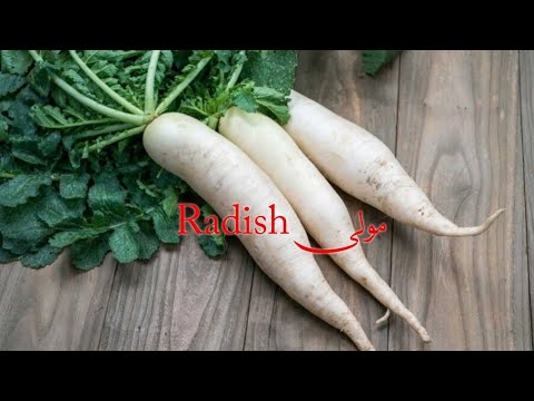 New Vlogs Radish Relative In Village My House - YouTube