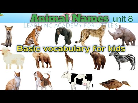 Learn Names of animals | Animal Names with pictures and spelling for ...