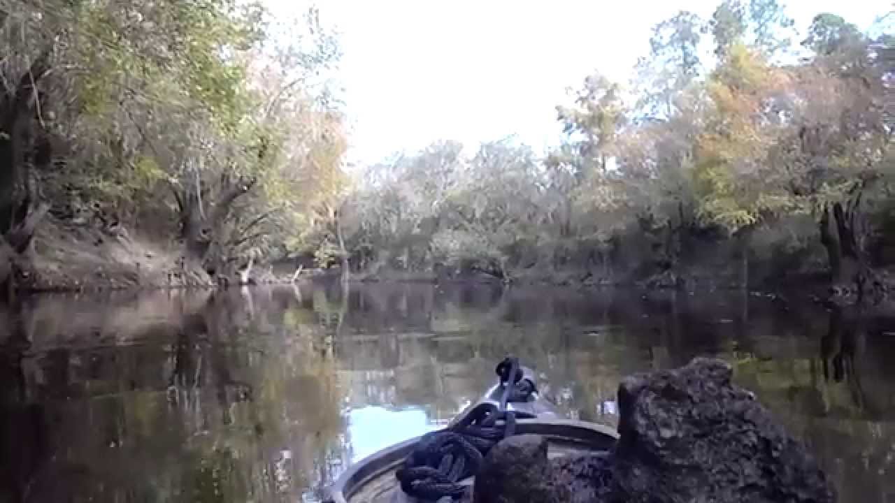 fossil coral hunting - YouTube