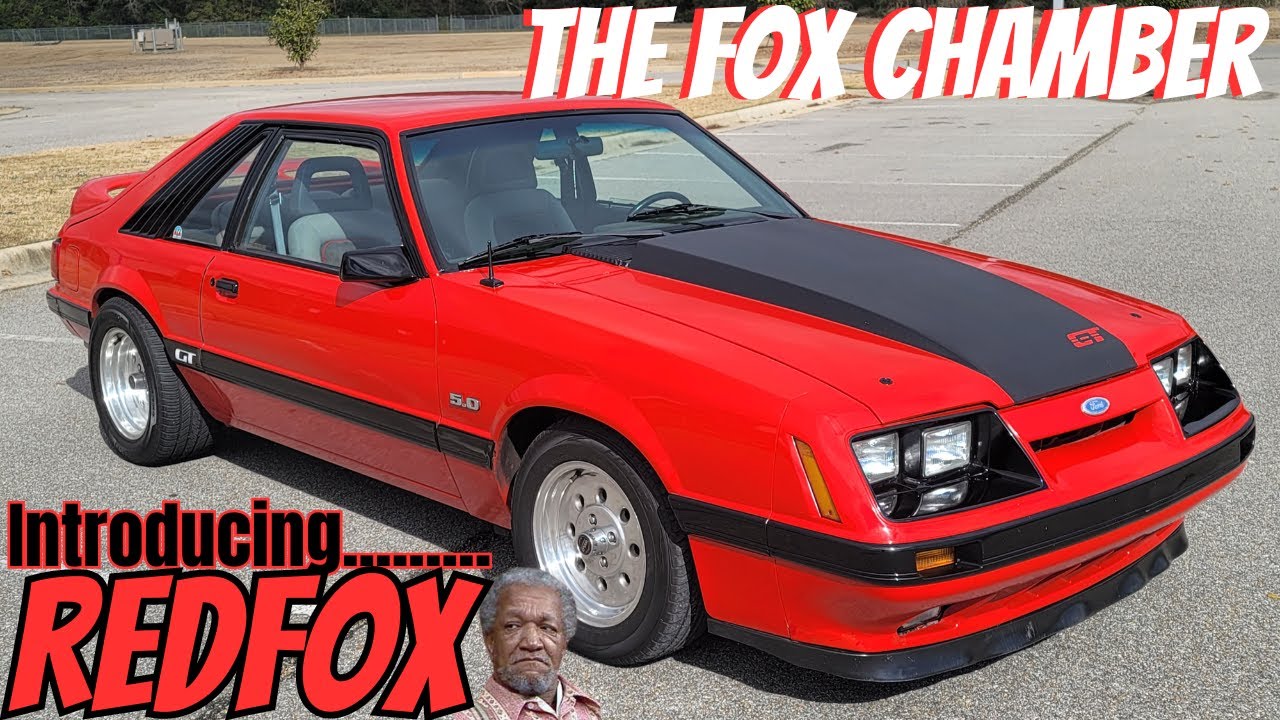 4Eye for the Fox Guy - YouTube