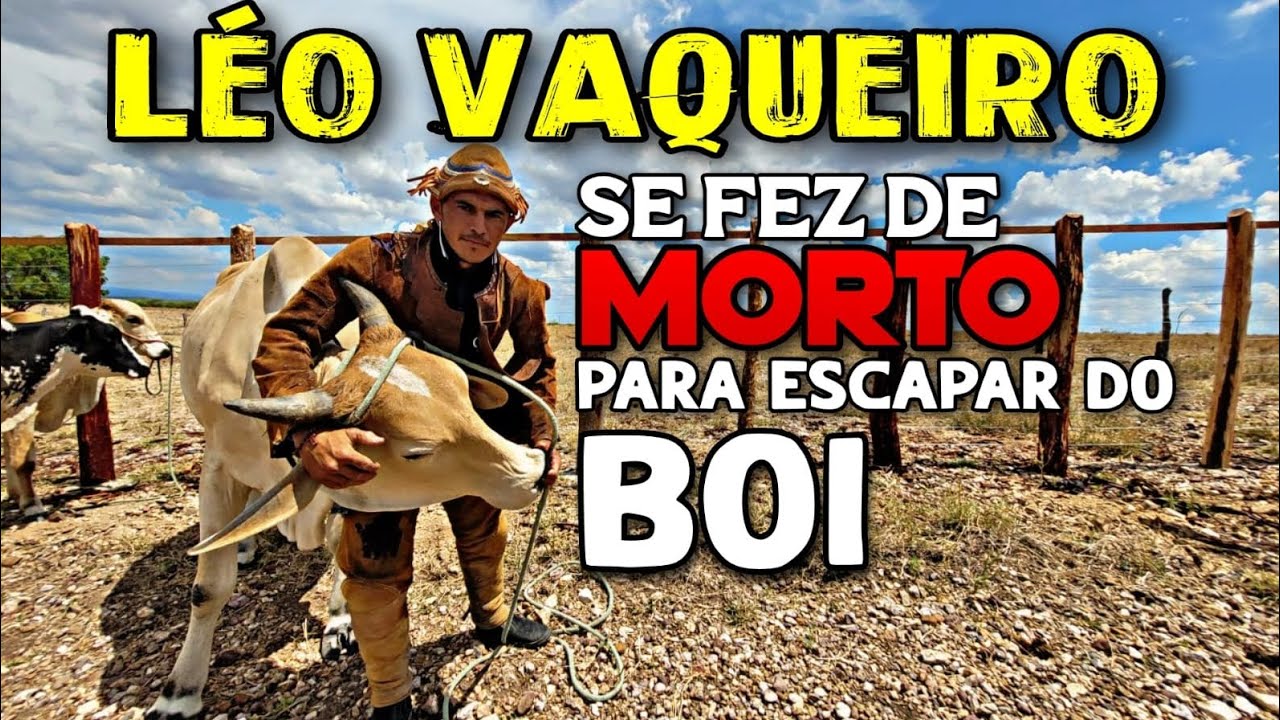 O VAQUEIRO QUE ENFRENTOU O PERIGO PARA SOBREVIVER - YouTube