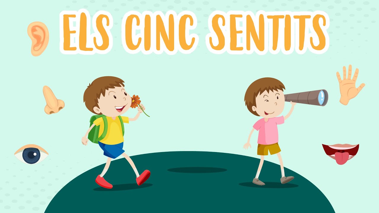 Coneix els 5 sentits! | Vídeos educatius per a nens en llengua catalana ...
