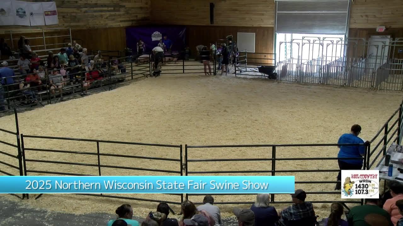 2025 Northern Wisconsin State Fair Swine Show - YouTube