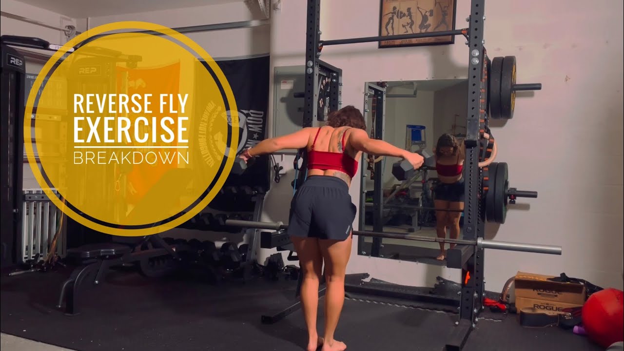 Reverse Fly Exercise Breakdown - YouTube