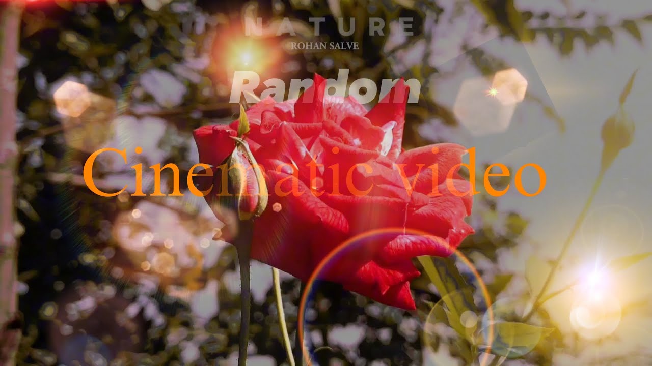 ⚪Cinematic Shoot ┃ Random Nature cinematography ┃ Shoot on Cannon R ┃ ️┃ NO COPYRIGHT ┃⚪ - YouTube