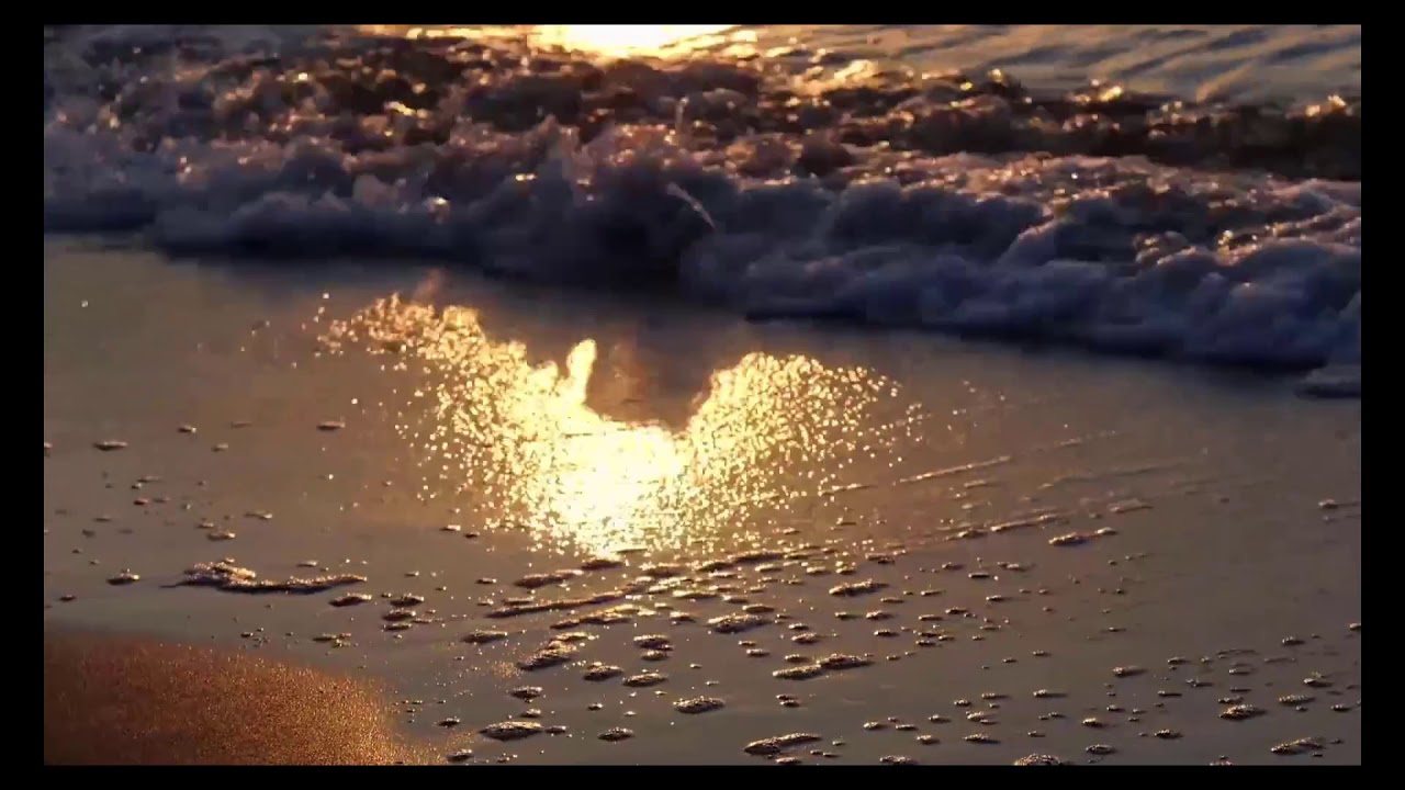 2 Hours Of Satisfying And Relaxing Beach Shore For Meditation And Dream