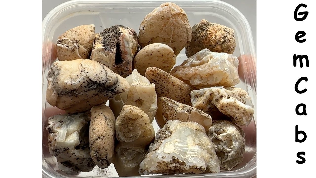 Group of Arizona Gila Bend Mountain Agates Cut Open to Reveal the ...