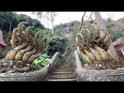 Fish Cave Temple / Monkey Temple (Wat Tham Pla) Chiang Rai, Northern ...