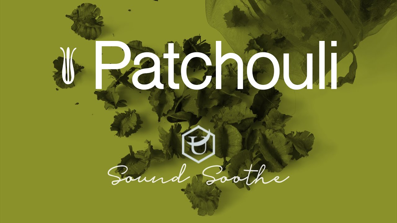 Relaxing Music, Meditation Music, Sleep Music with Japanese "KOTO ...