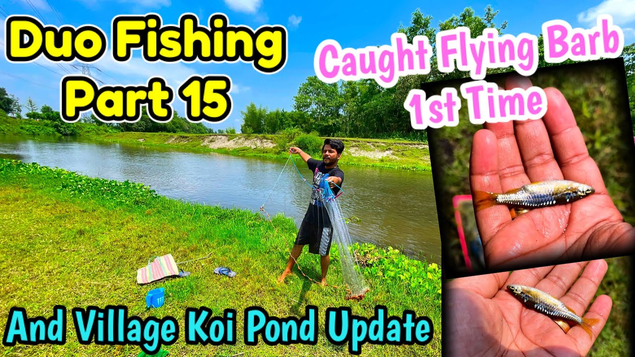 Duo Fishing Part 15 🔥: Caught Flying Barb🐠 for the 1st time🥰 | Fishing ...