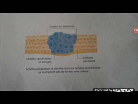 Qu'est ce que le Cancer? - Explication simple et facile à comprendre ...