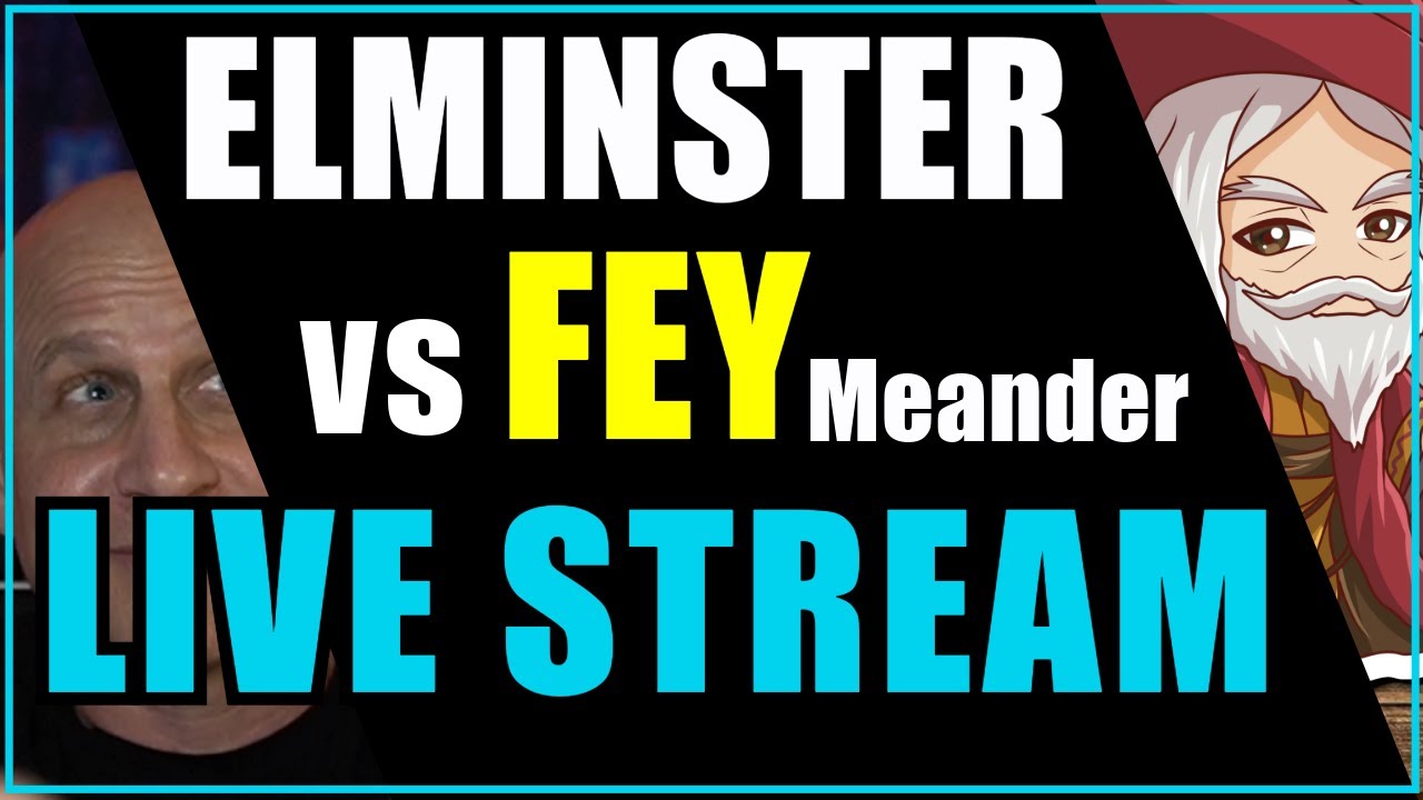 Elminster vs Fey Meander floor 151+ | Dragonheir Silent Gods LIVE ...