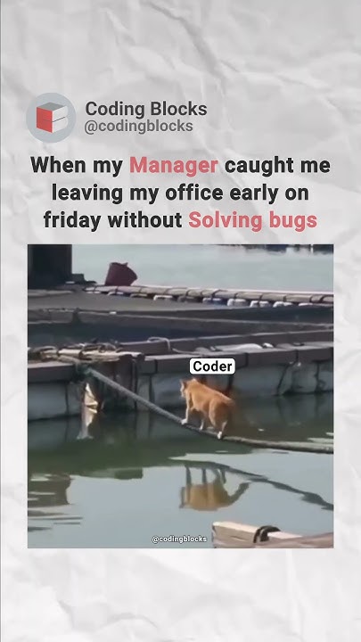Feeling Of Every Coder Who Else Can Relate Coding Blocks Code Codingblocks Coder Youtube