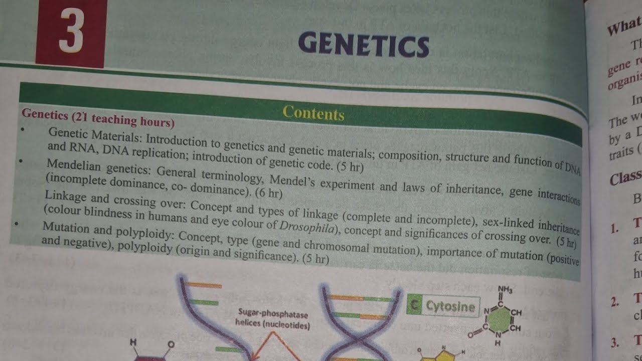Genetic full concept in one shot || class 12 || chapter 3|| Biology ...