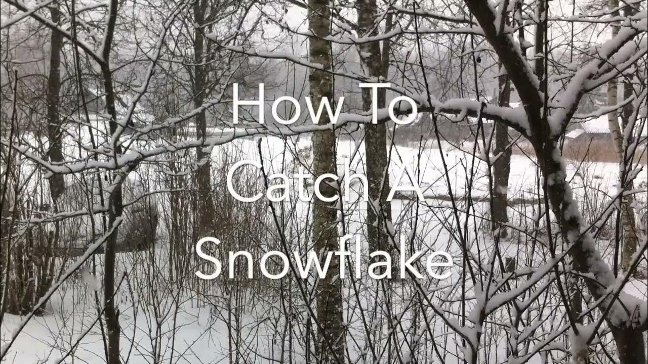 How To Catch A Snowflake - YouTube