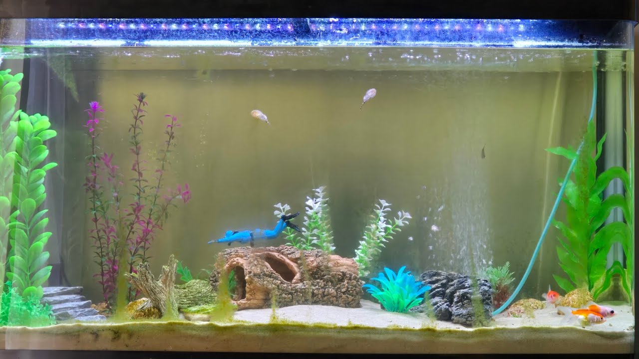 Building my new 190 litre aquarium - YouTube
