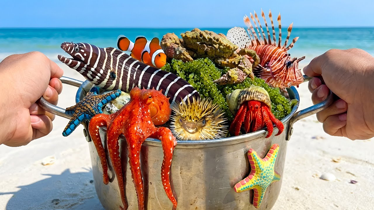 CATCH! Pufferfish, Superhero Crab, Lionfish, Giant Sea Snake, Nemo Fish ...