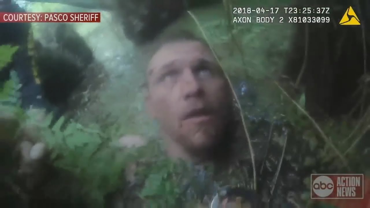 Man Gets Caught Hiding In A Swamp After High Speed Police Chase - YouTube