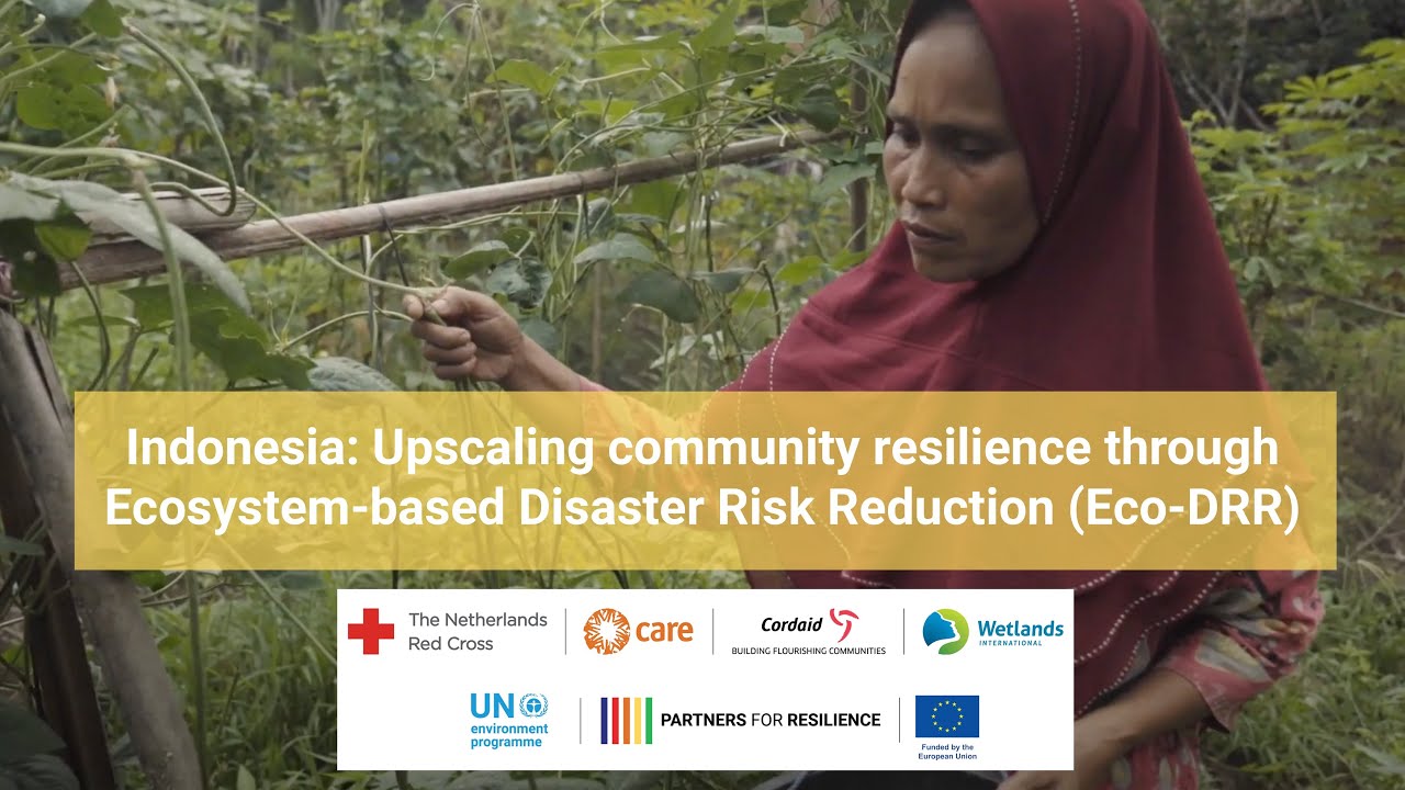 Indonesia: Upscaling community resilience through Ecosystem-based ...