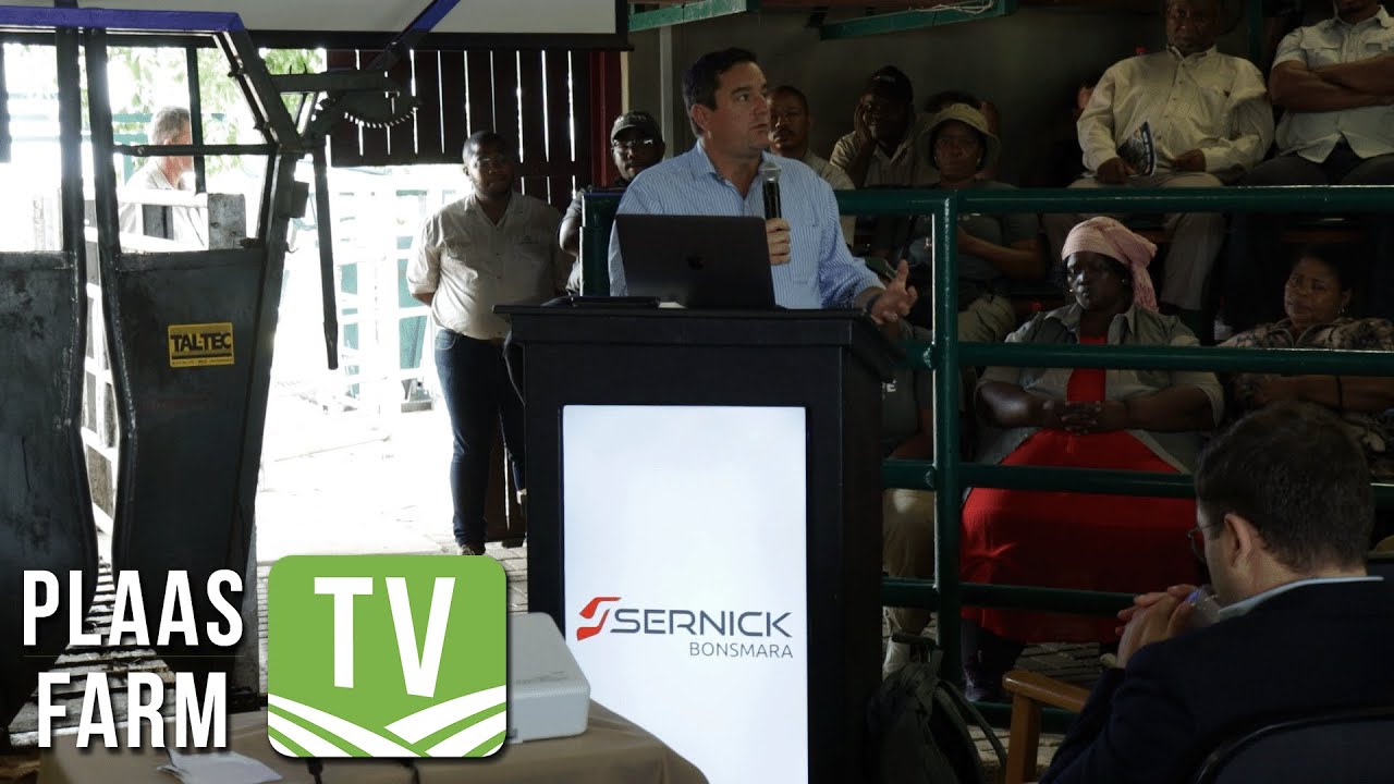 Shaping agriculture's future: A decade of Sernick Emerging Farmers Days ...