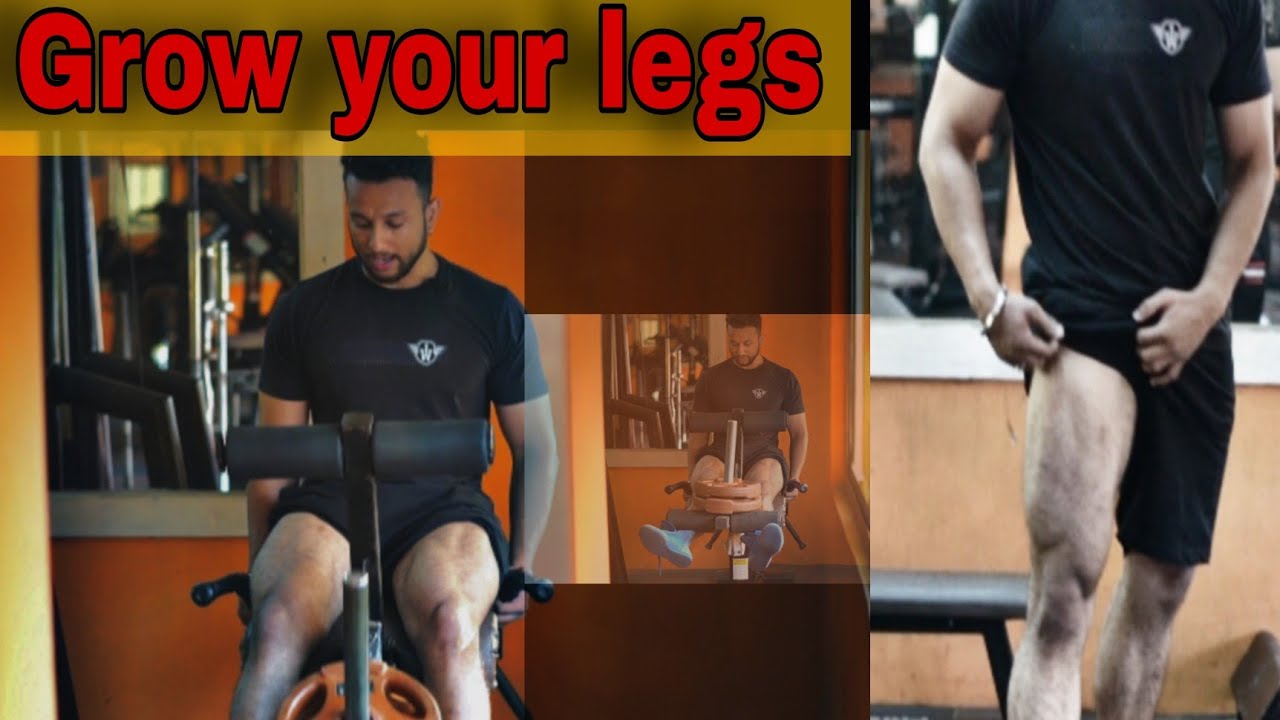 Massive leg workout | Grow your legs with these exercises #gym #fitness ...