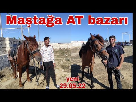 Maştağa AT bazarı 29.05.22 #mastagamalbazari #mastagaqoyunbazari