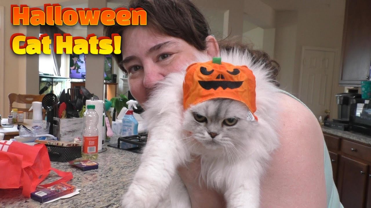 Spooky Cat Hats From Five Below! 👻 - YouTube