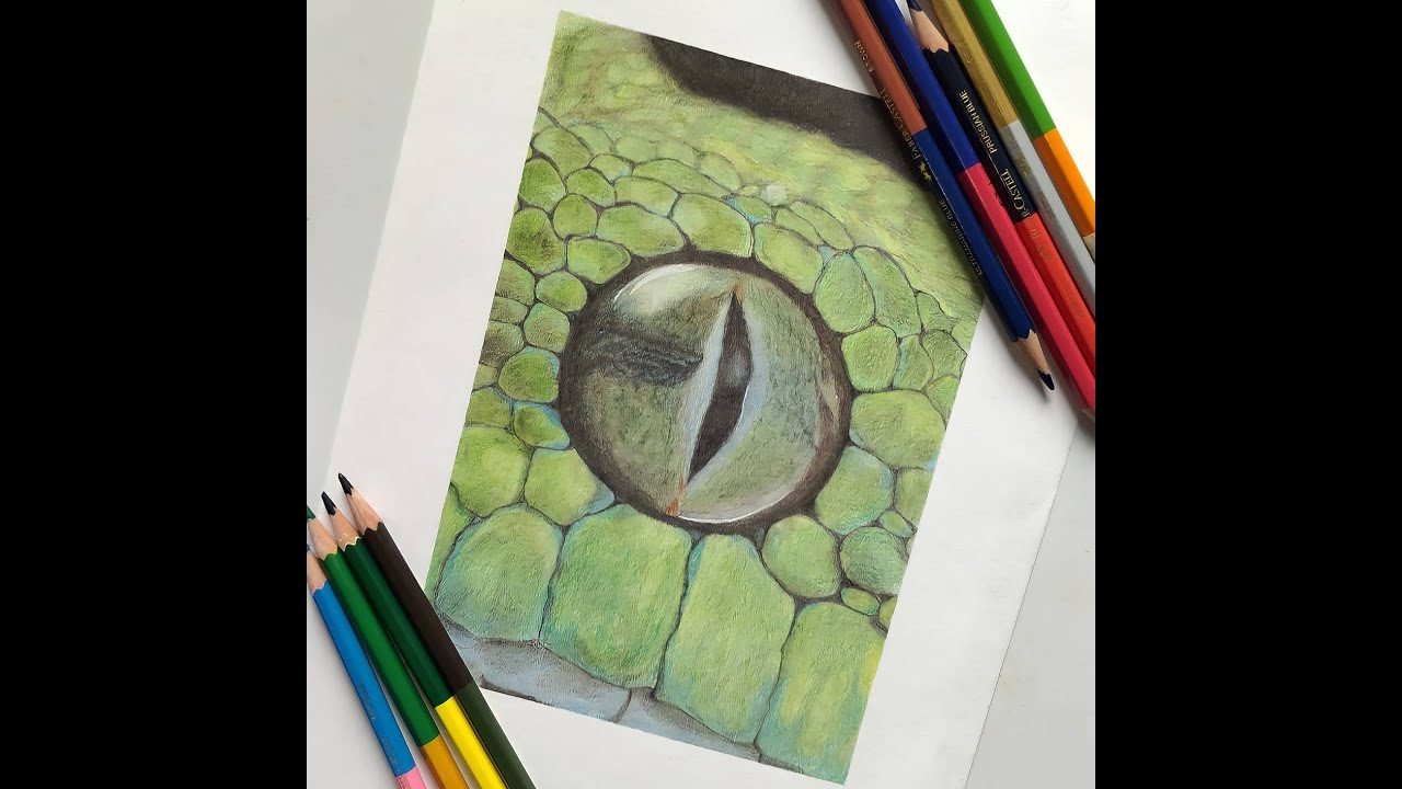 How to draw realistic snake eye drawing using Faber castel colours ...