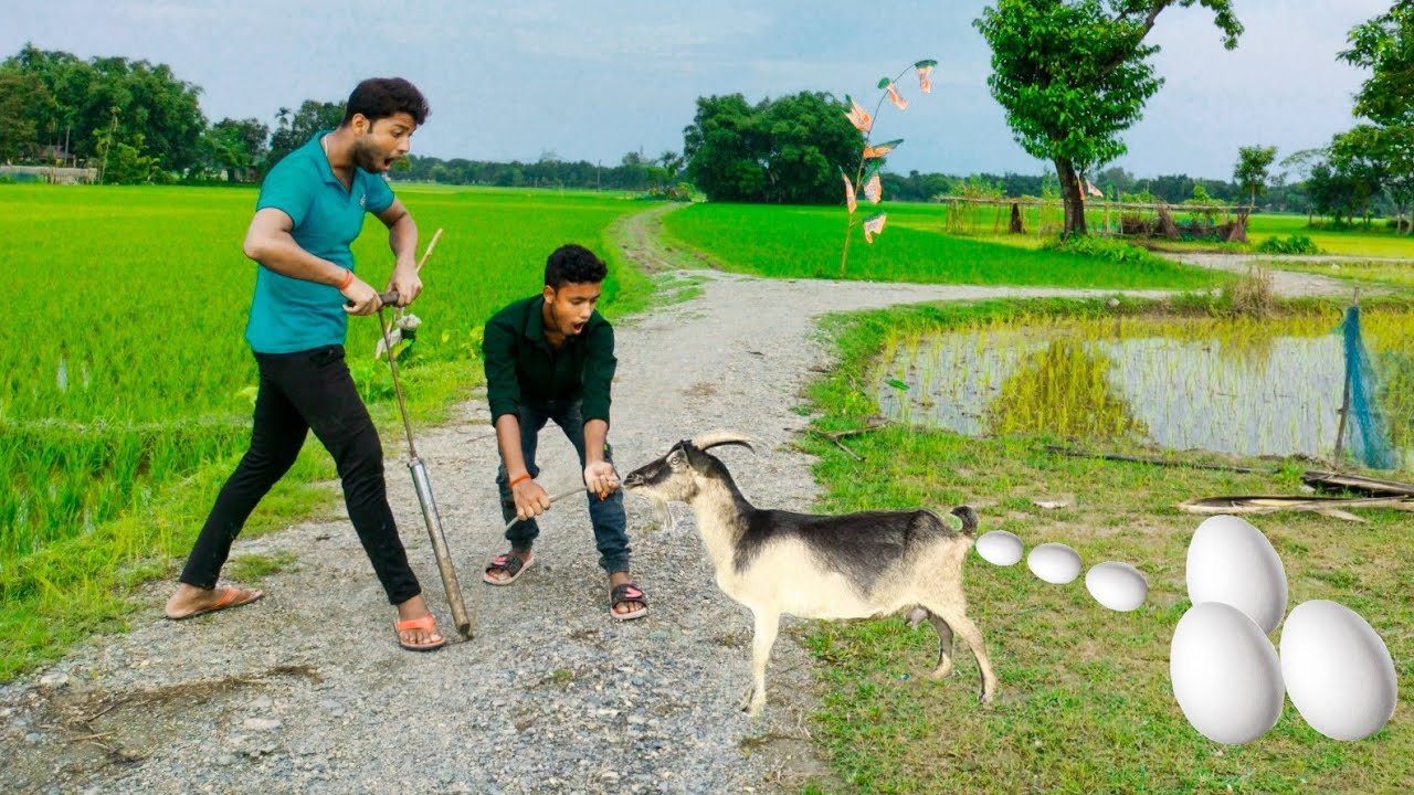Must Watch New Comedy Video 2023😎 Totally Amazing Comedy Video Episode ...