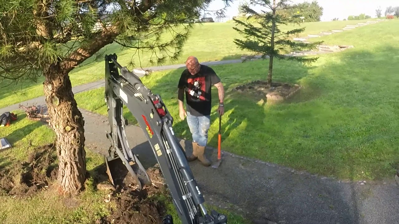 Avant Backhoe digging a tree root - YouTube