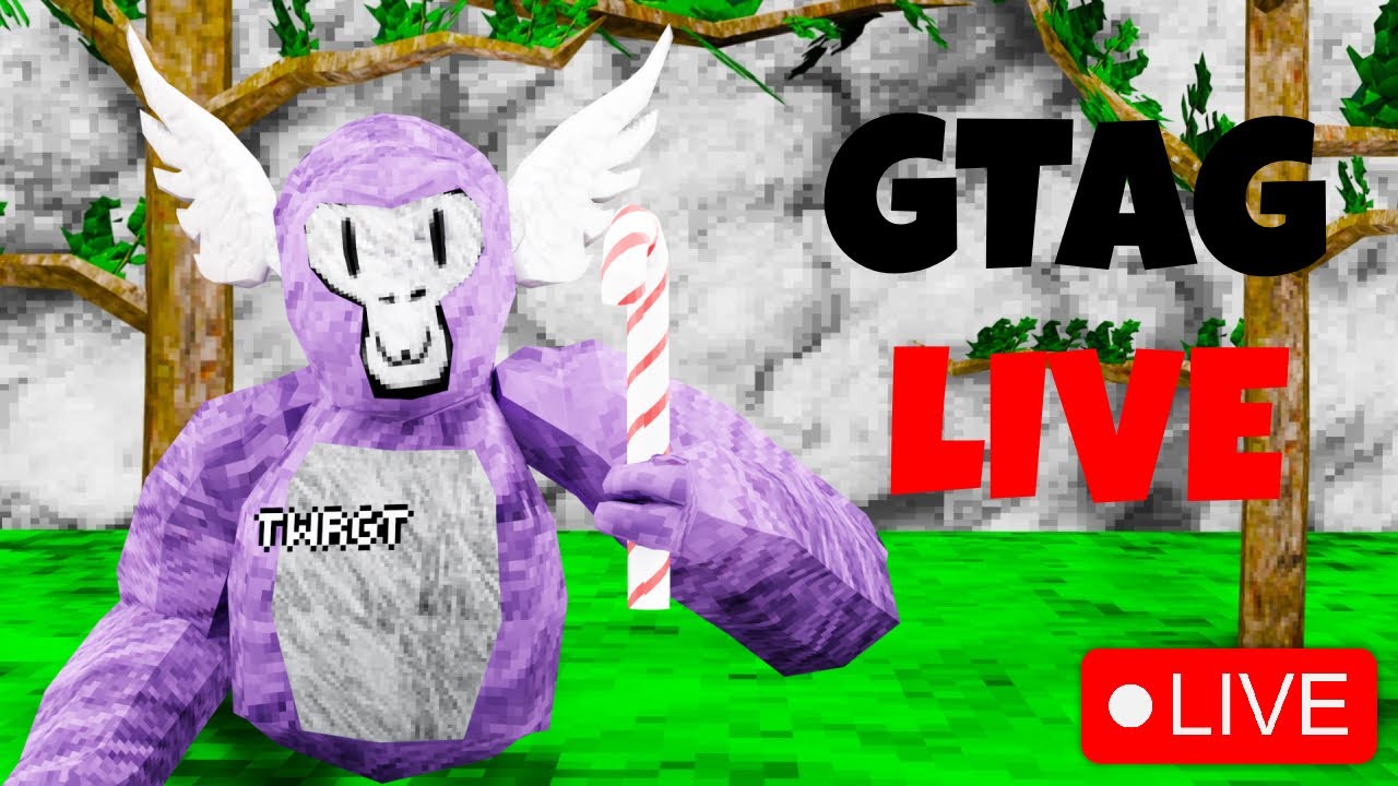 LIVE STREAM GTAG WITH VIEWERS JOIN UP - YouTube