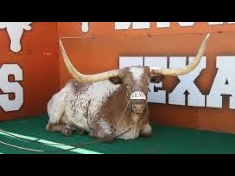 Thank you bevo! 🤘 - YouTube